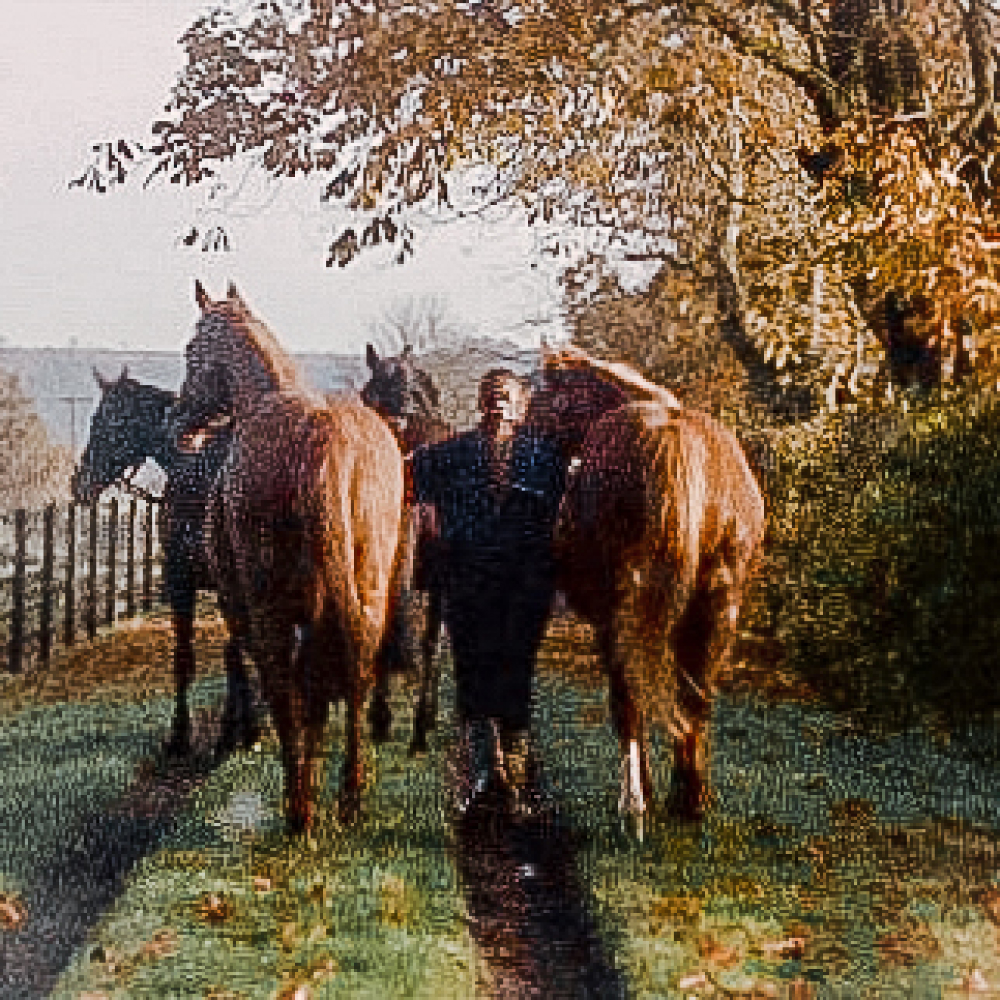 October Sales Oasis Dream x Bimbo – Garrowby Estate